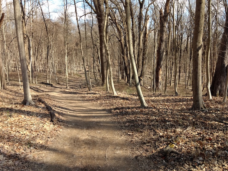 Morning Choice West Section Mountain Biking Trail - Ellicott City