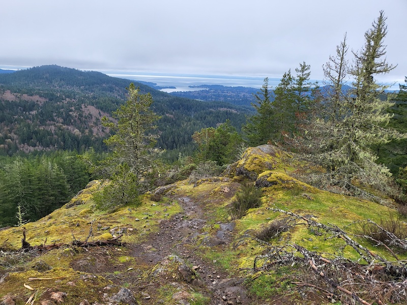 Sooke Hills Wilderness, Sooke Mountain Biking Trails | Trailforks