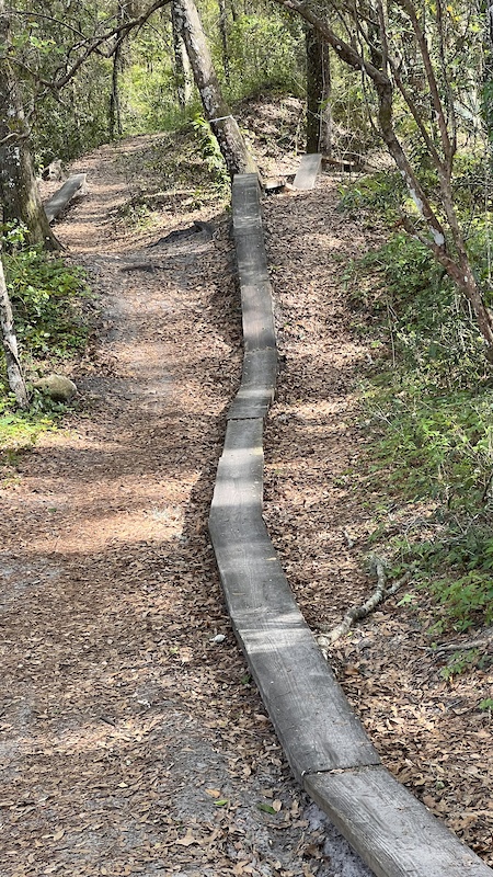 Vortex Pit Access Multi Trail - Ocala, Florida