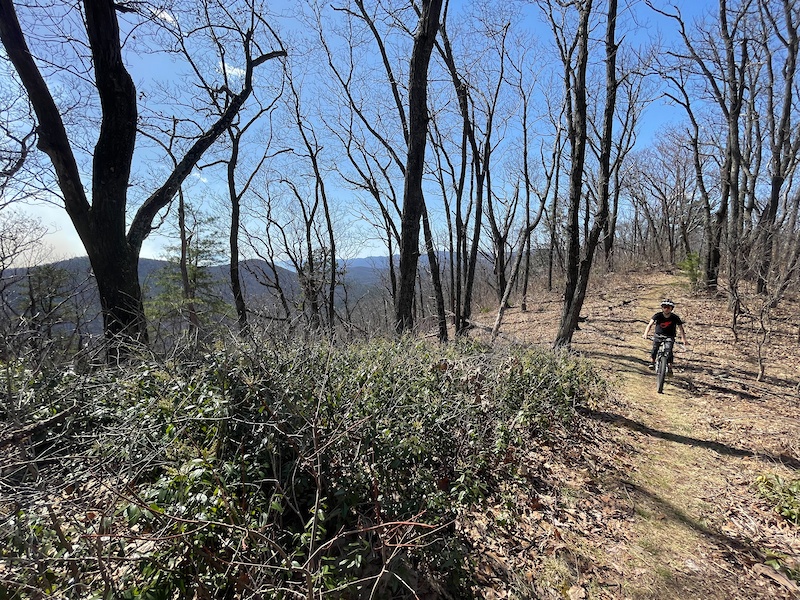 Grindstone Mountain Trail Mountain Biking Trail - Staunton