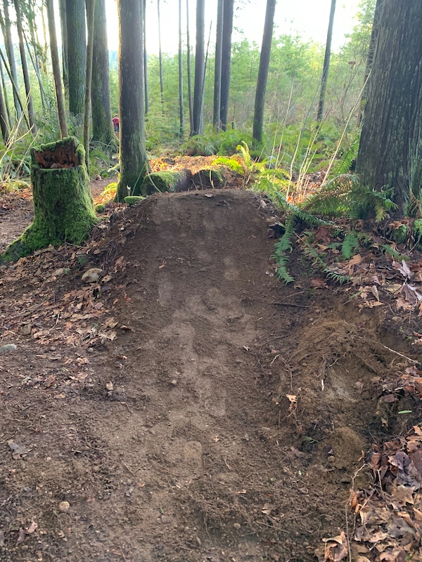 Tolt-MacDonald XC/Jump Mix and Match Mountain Biking Route | Trailforks