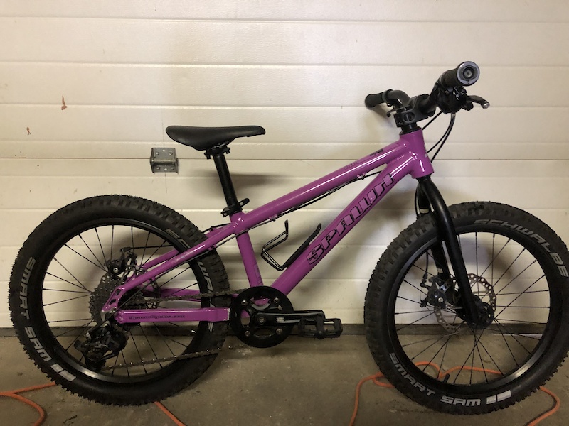 2020 Spawn 20” Raiju For Sale