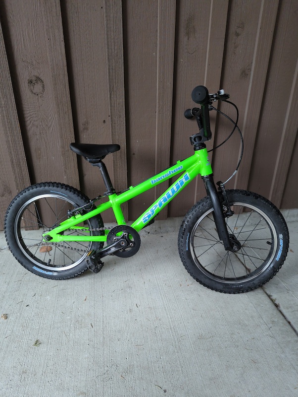 Spawn Banshee 16 For Sale