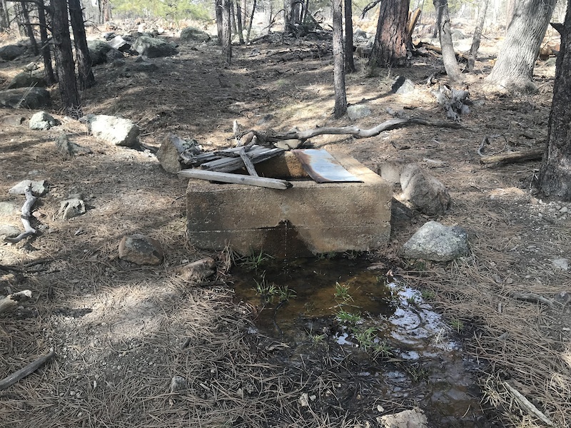 Buckskinner Trail Hiking Trail - Williams, AZ