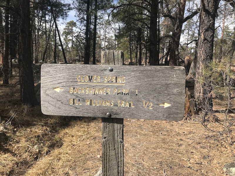 Clover Spring Trail (Official) Hiking Trail - Williams, AZ