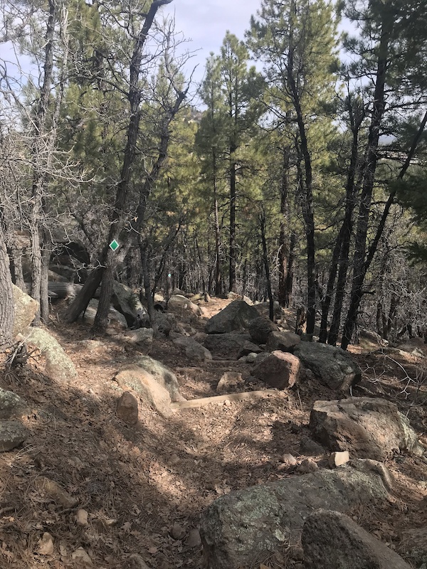 Clover Spring Trail (Official) Hiking Trail - Williams, AZ