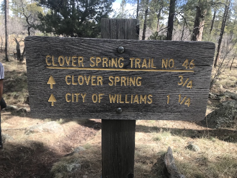 Clover Springs Trail Mountain Biking Route | Trailforks