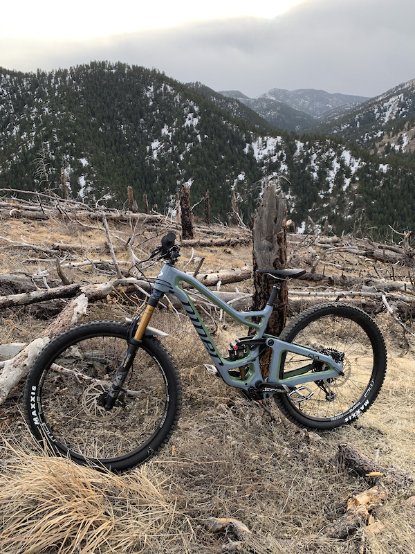 2019 Niner Rip 9 RDO For Sale