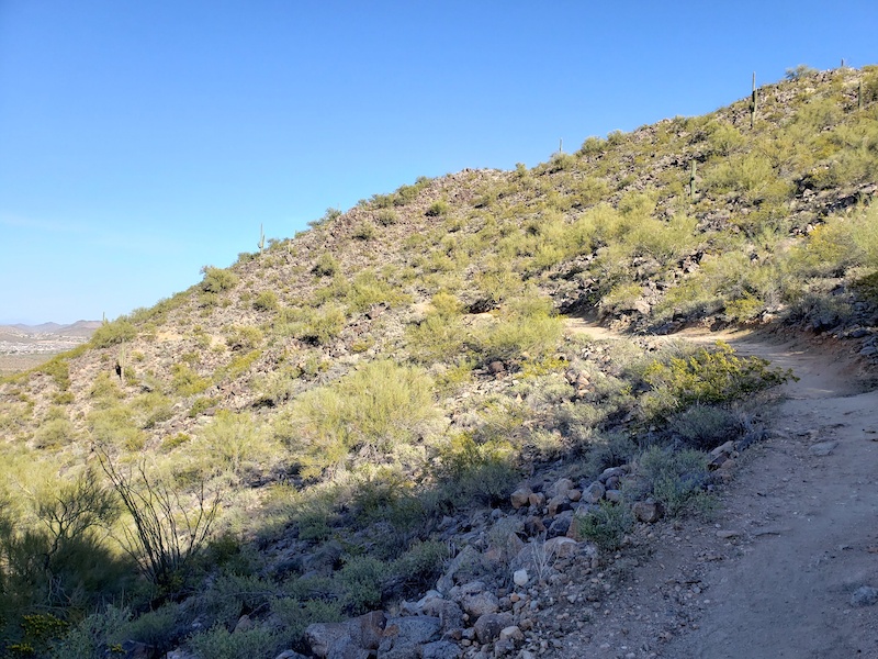 Saguaro Family Loop Mountain Biking Trail - Peoria