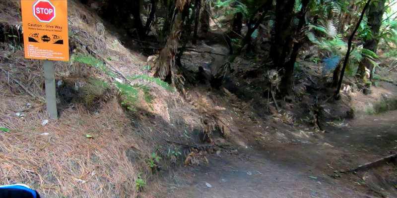 90c Whaka 25km Mountain Biking Route | Trailforks