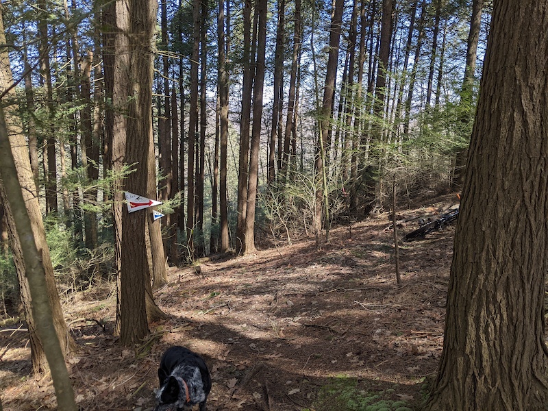Mossy Bank Park, Bath Mountain Biking Trails | Trailforks