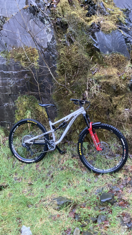 2020 Bird Aeris AM9 - Medium - Raw For Sale