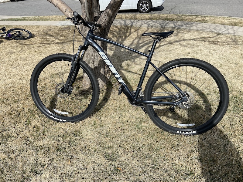 2021 Giant Talon Large For Sale