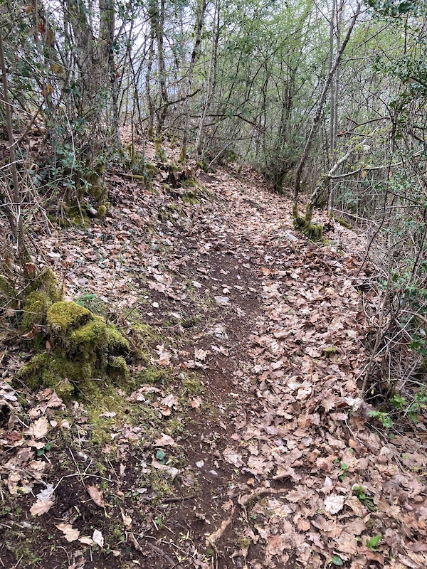 Variante technique the pangolin dream Mountain Biking Trail