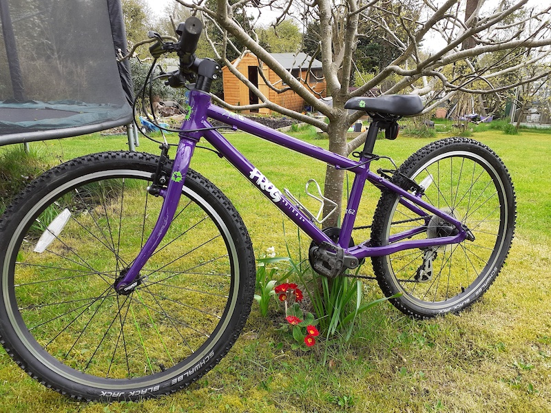 Purple Frog 62 ("24") For Sale