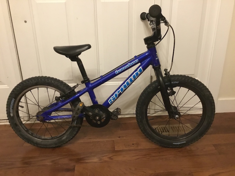 2016 Spawn Banshee 16” For Sale