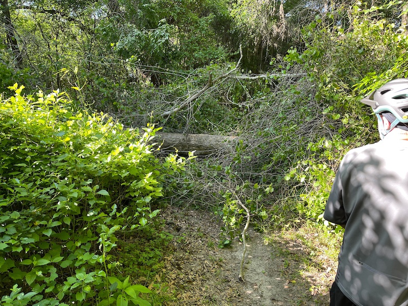 Idunno Mountain Biking Route | Trailforks