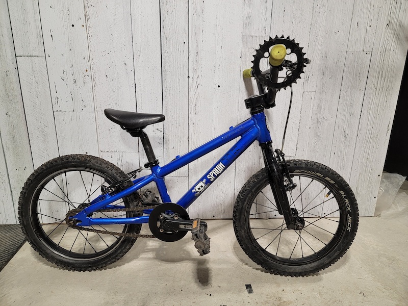 2017 Spawn Banshee 16" For Sale