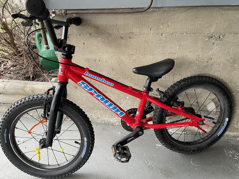 2018 Spawn Banshee 16” For Sale