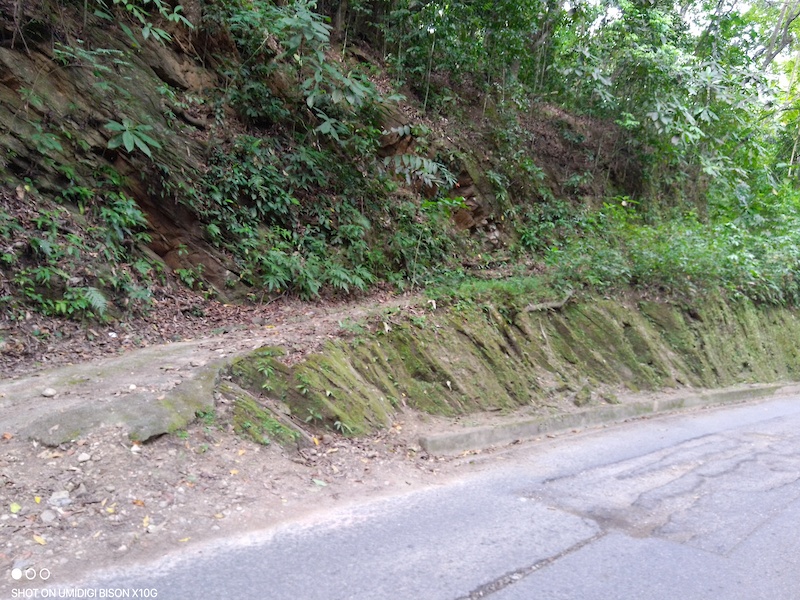 Bencal Road Trail Mountain Biking Trail - | Trailforks