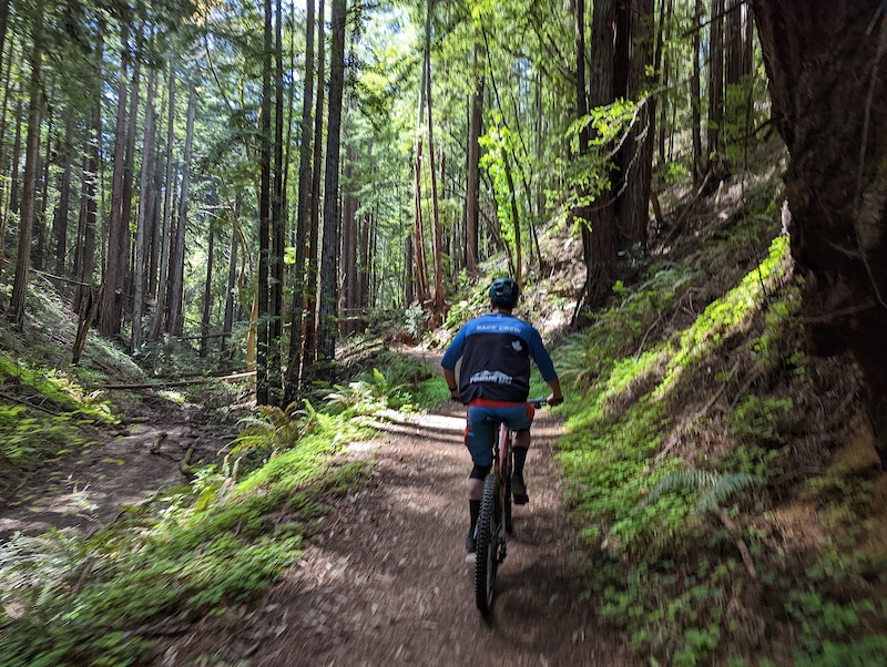 UCSC Route Mountain Biking Route | Trailforks
