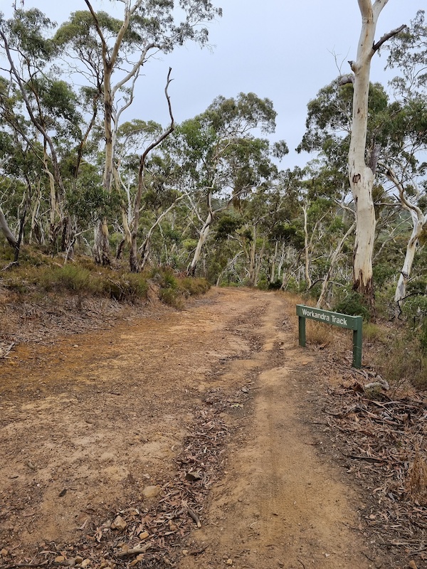 Belair Back Passage Mountain Biking Trail - Adelaide