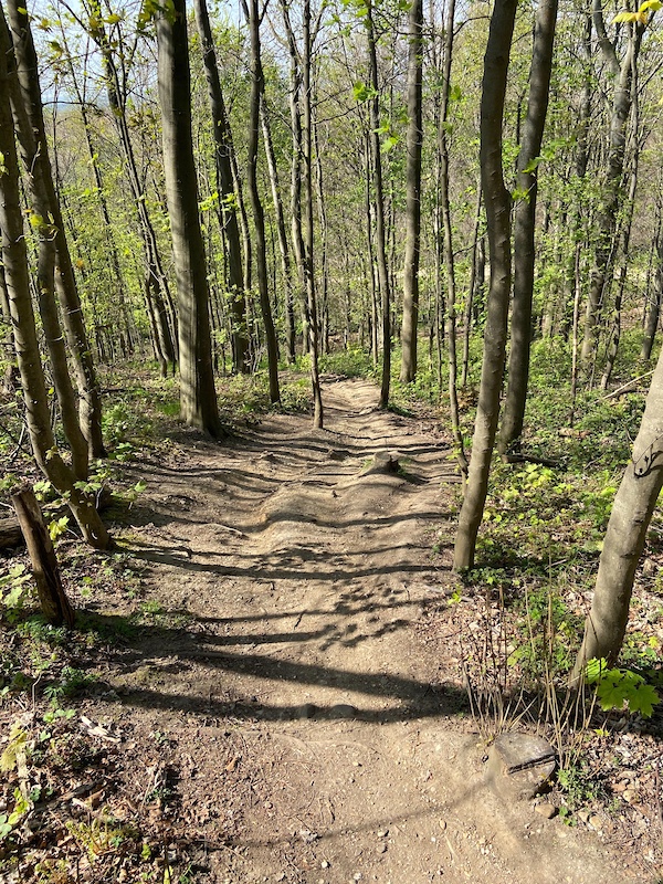 Bergheim, Germany Mountain Biking Trails | Trailforks