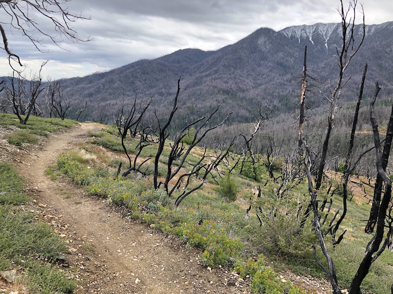 BAC - Run - Advanced - Brandy Creek & Papoose Trail Running Route ...