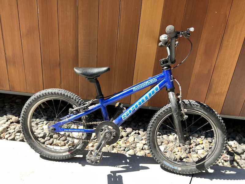 2016 spawn banshee 16” For Sale