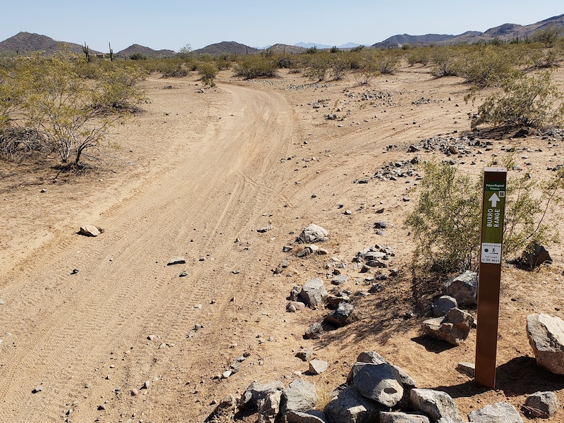Burro Range Mountain Biking Trail - Peoria, Arizona