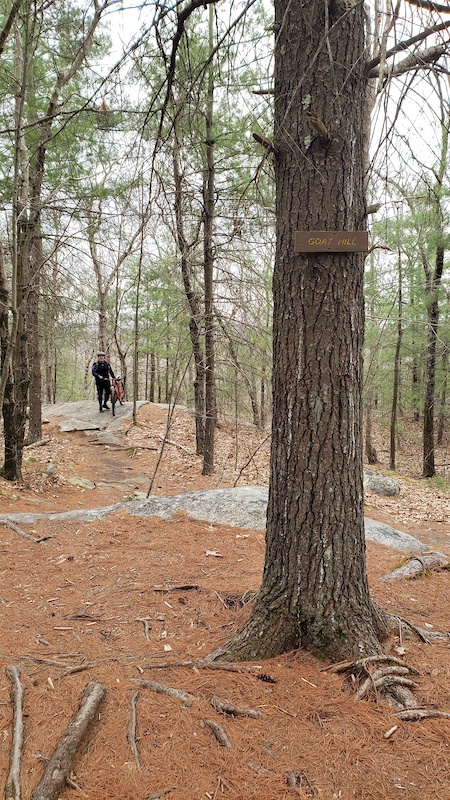 BV NEMBA Spring Social Ride 2022 Intermediate Mountain Biking Route ...