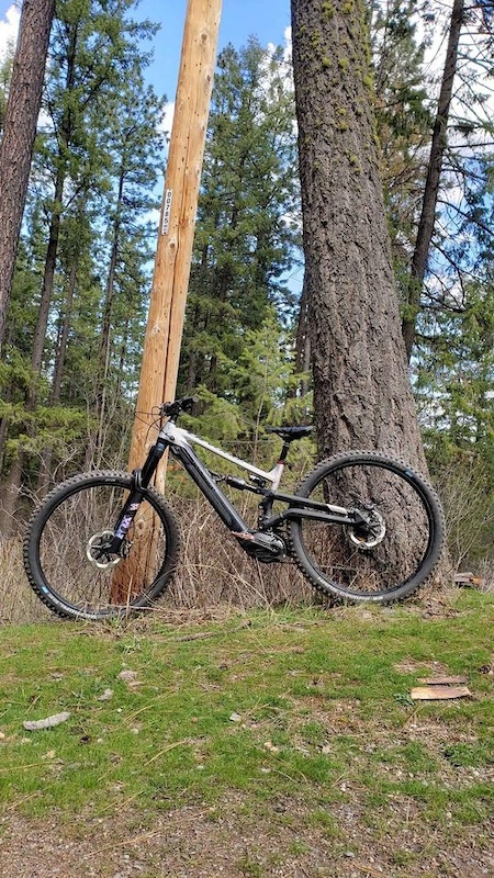 2021 Polygon Mount Bromo N9 - Large For Sale