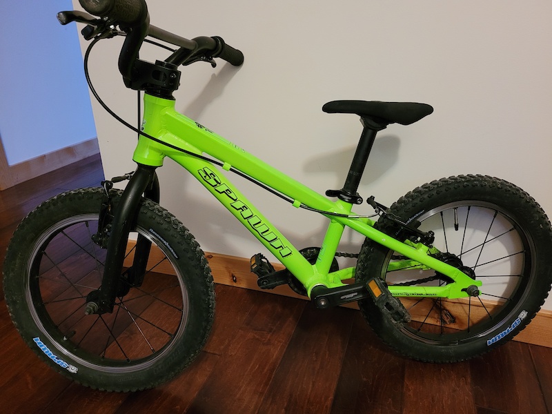 2018 Spawn Yogi 16" For Sale