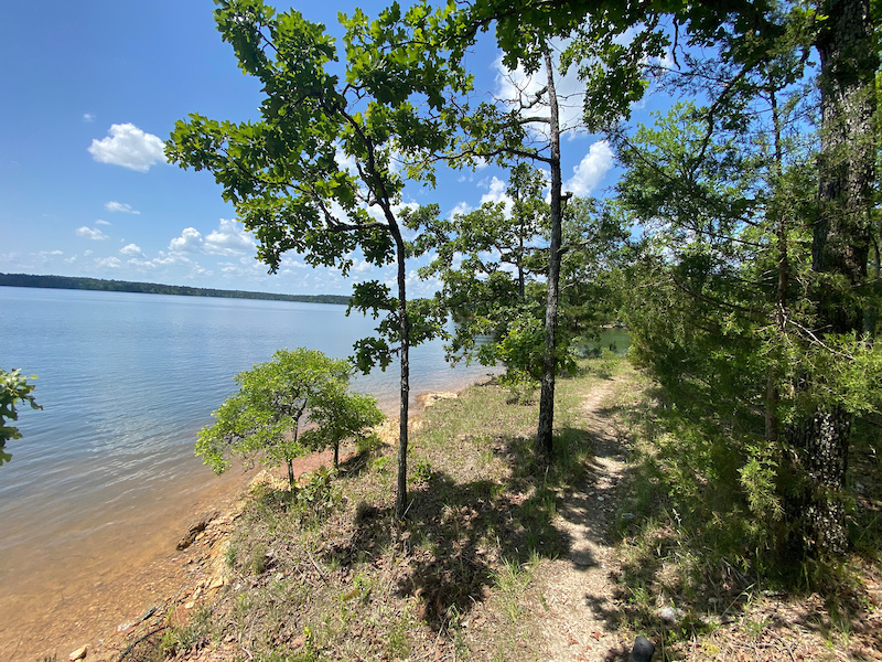 Lakeview Loop Multi Trail - McCormick, South Carolina