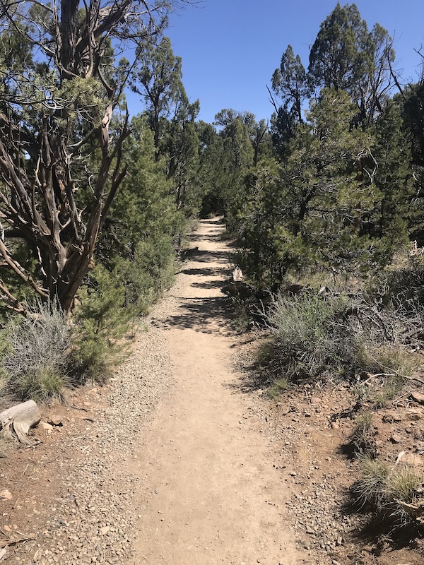 Petroglyph Point Trail Hiking Trail - Mancos, Colorado