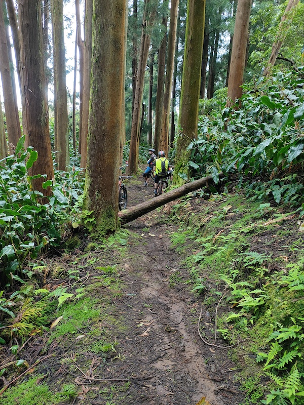 Cobra Anaconda Mountain Biking Trail - Vila do Porto