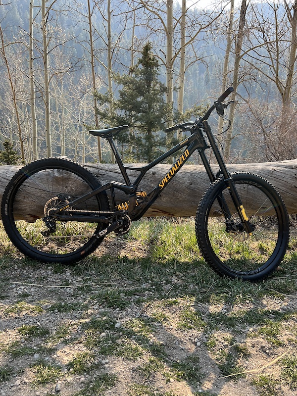 2020 Specialized Demo Race s4 For Sale