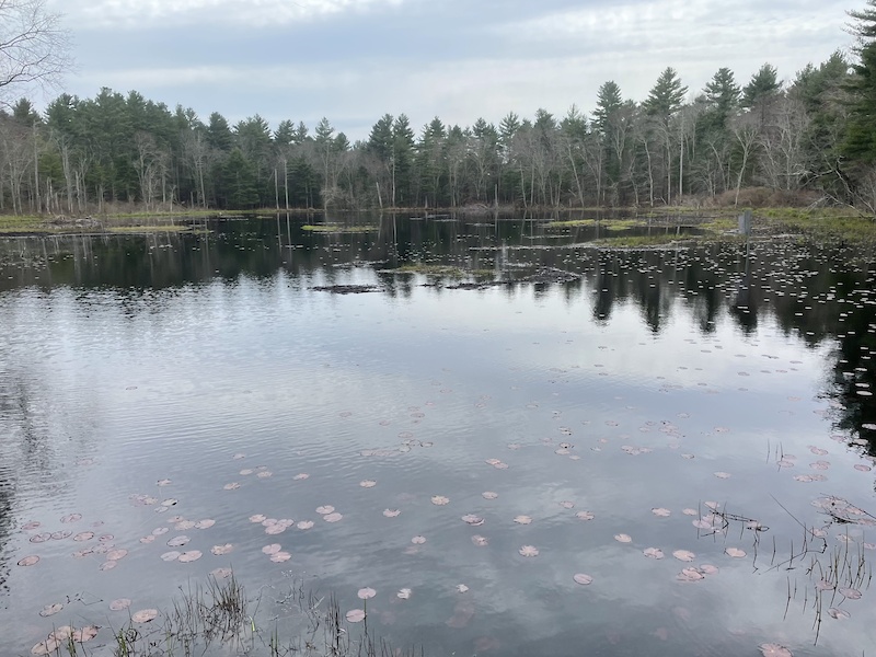 Bog Bridge Connector Multi Trail - Colchester, CT