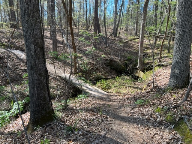 New East Loop Mountain Biking Trail - Morrisville, NC