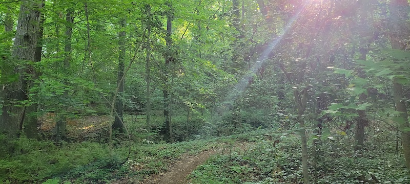 Green Forest Park Multi Trail - Greenville, SC