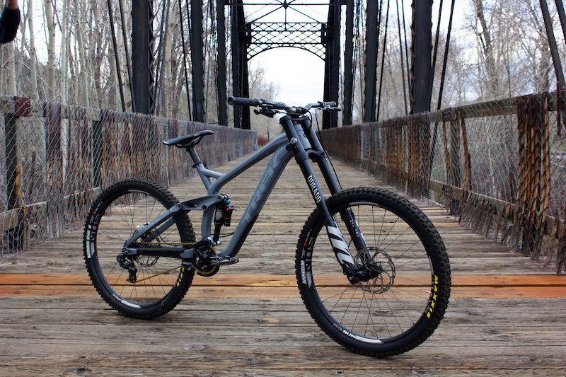 2020 Trek Session - Large For Sale