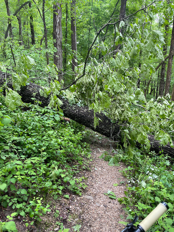 NORRIS WATERSHED BIG LOOP | Trailforks