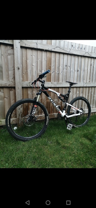 2016 Focus super bud 3.0 medium frame For Sale