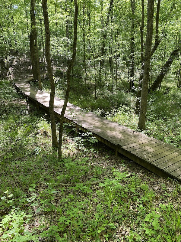 5 Mile Beginner Loop Mountain Biking Route | Trailforks