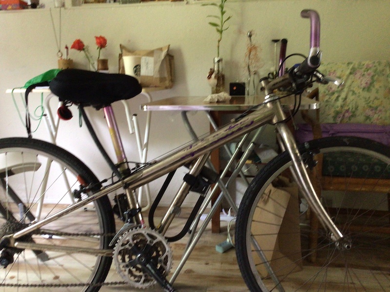 Vintage titanium Alpine Stars For Sale