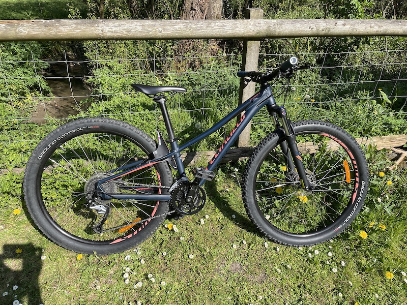 2019 Specialized Pitch Comp For Sale