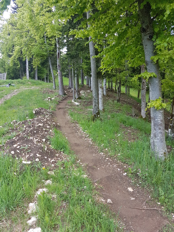 Bikepark Burladingen, Burladingen Mountain Biking Trails | Trailforks