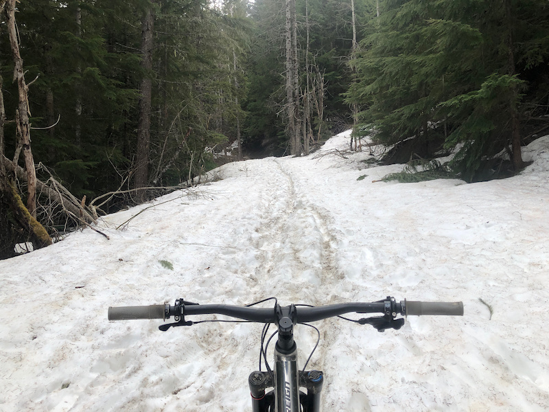 Rick's Roost Mountain Biking Trail - Whistler, BC