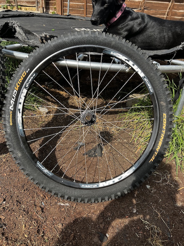 SunRingle MTX 31 For Sale