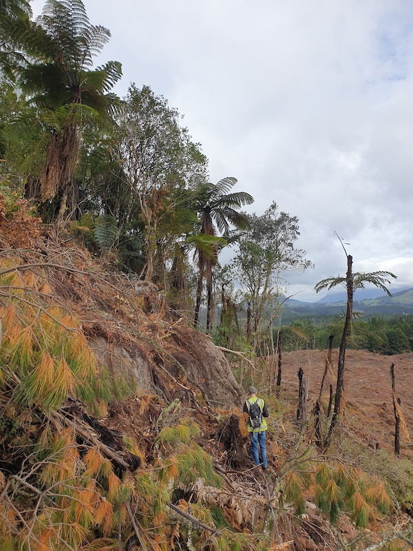 Whaka 50 2020 (unofficial) Mountain Biking Route | Trailforks